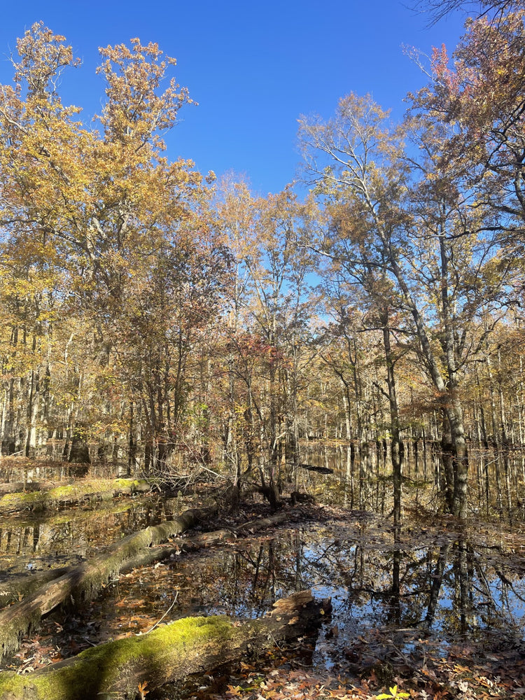 Pearlin Outfitters Waterfowl Co